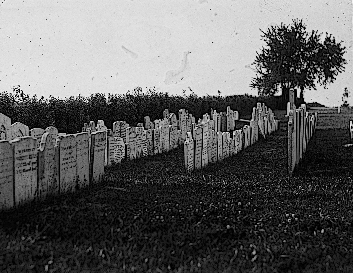 Liar's Lament | Bill Vencil