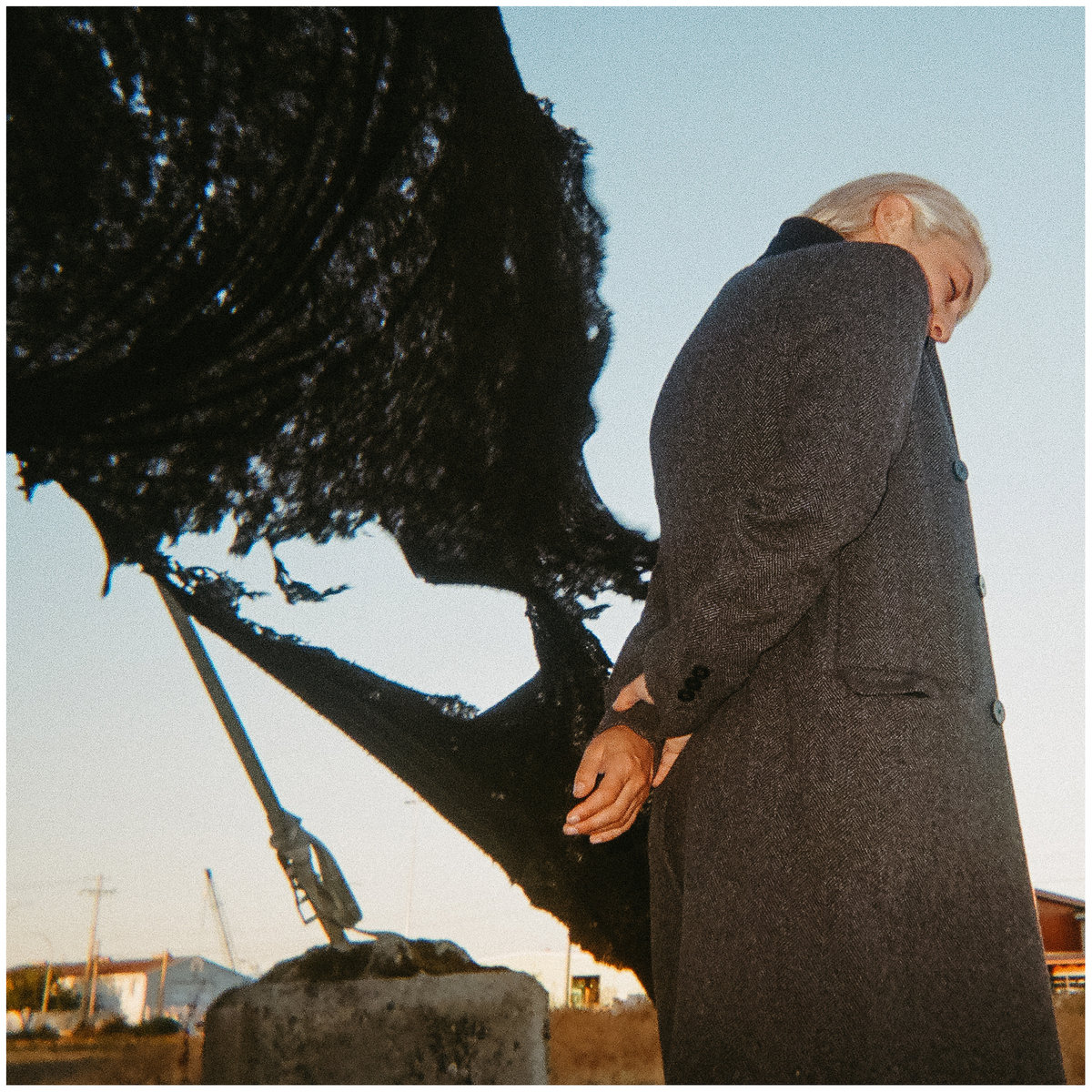 DYED (EP) | Ora Cogan