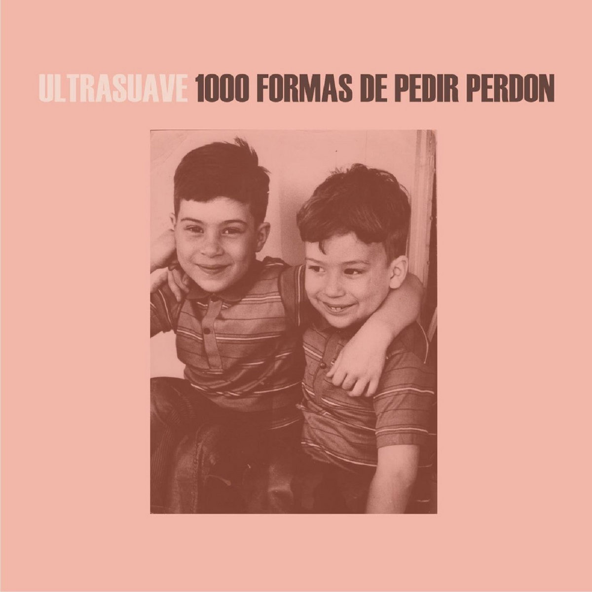 Pedir Perdon