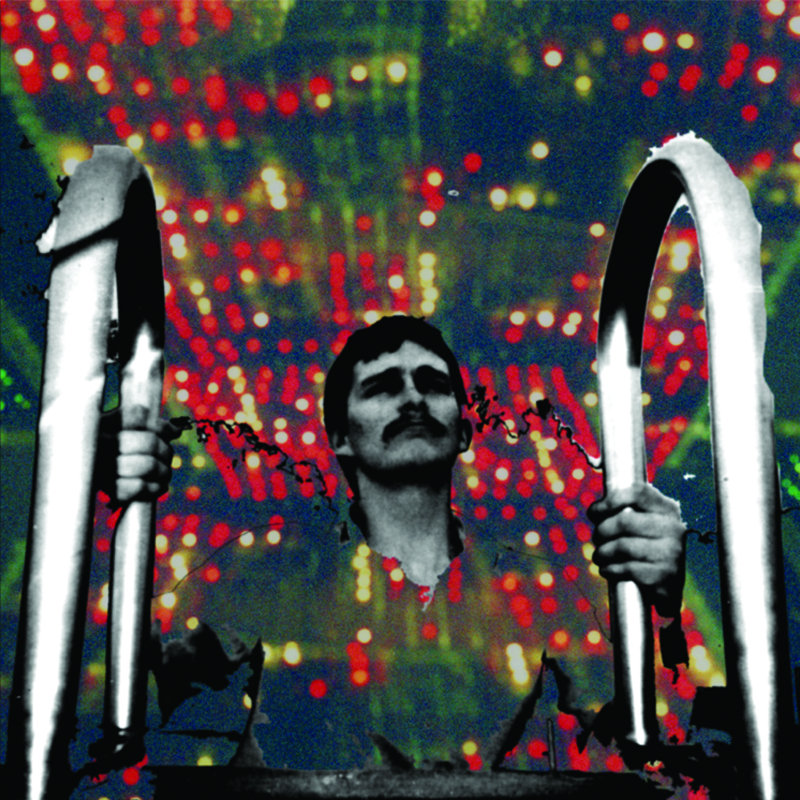 Born To Fully | Andy Boay | Bruised Tongue