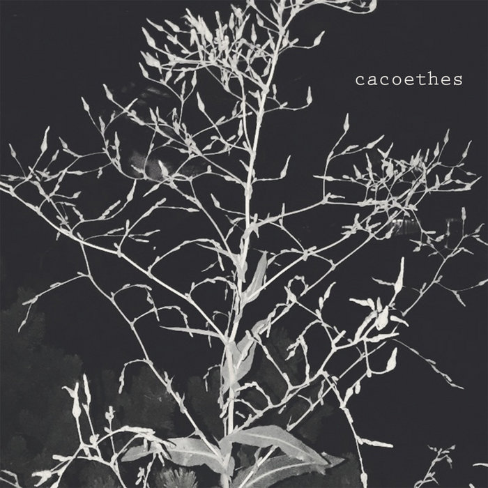 cacoethes | entropy girl