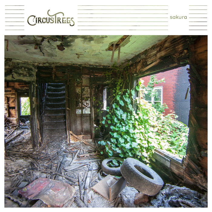 Sakura | Circus Trees