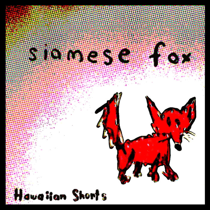 Hawaiian Shorts | Siamese Fox