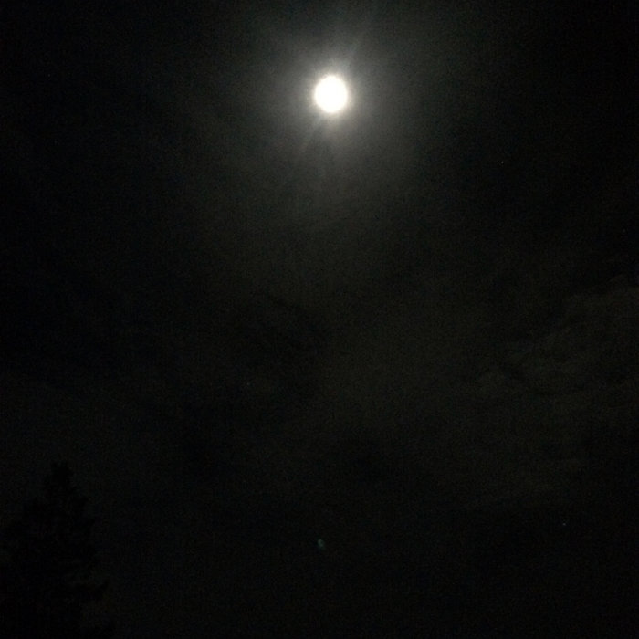 Still Waves | Gold Solid