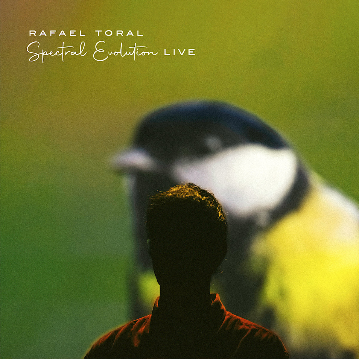 Spectral Evolution Live | Rafael Toral