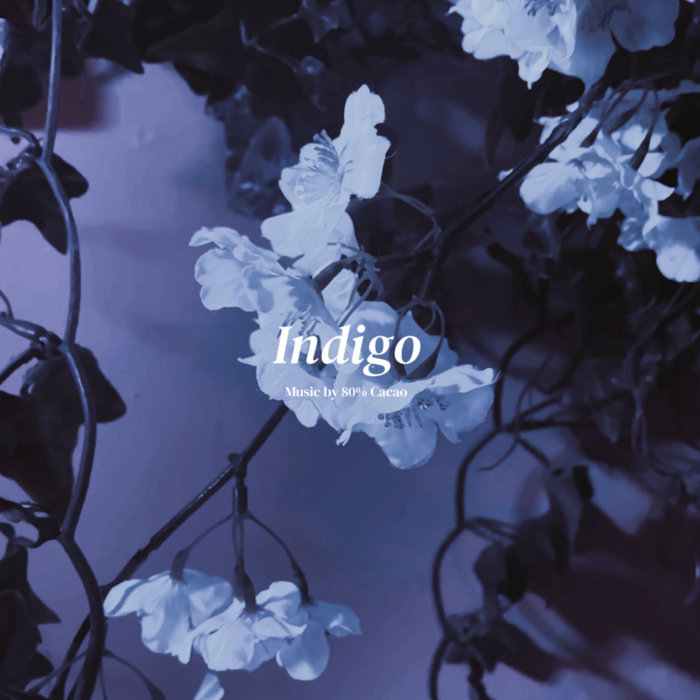 Indigo | 80% Cacao