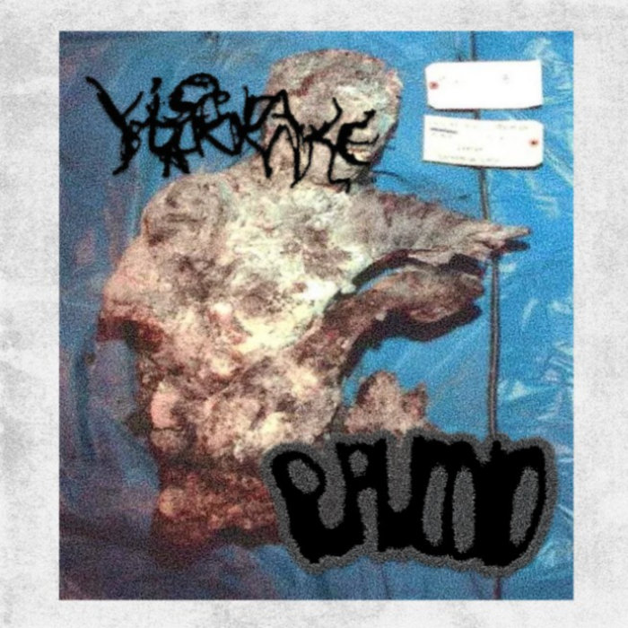 Viscera Bukkake / Puruloid Split | Puruloid / Viscera Bukakke | Puruloid