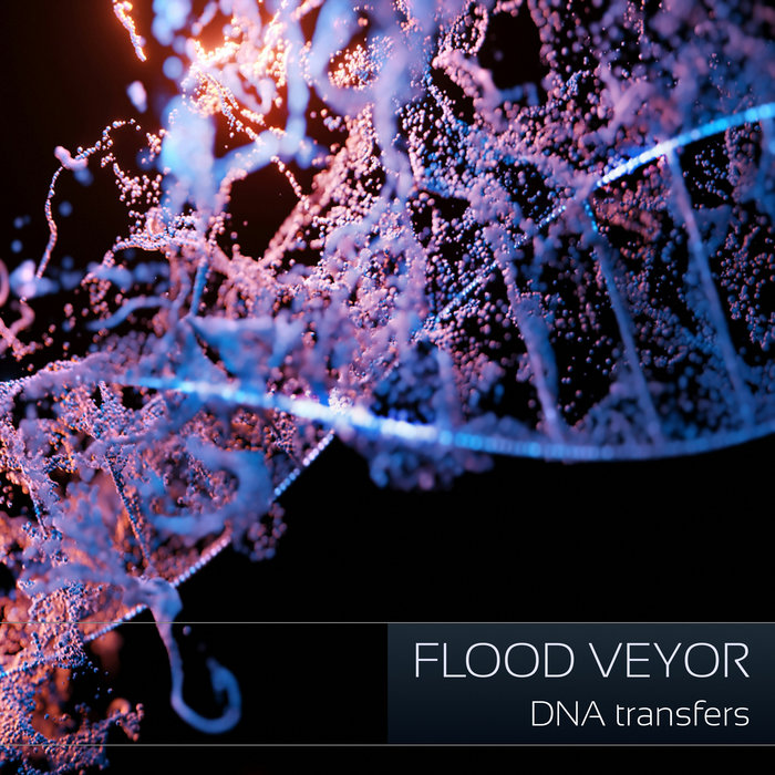 DNA transfers | Flood Veyor
