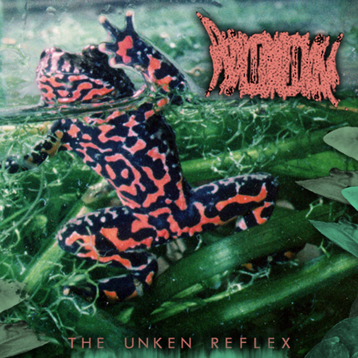 The Unken Reflex | Phyllomedusa