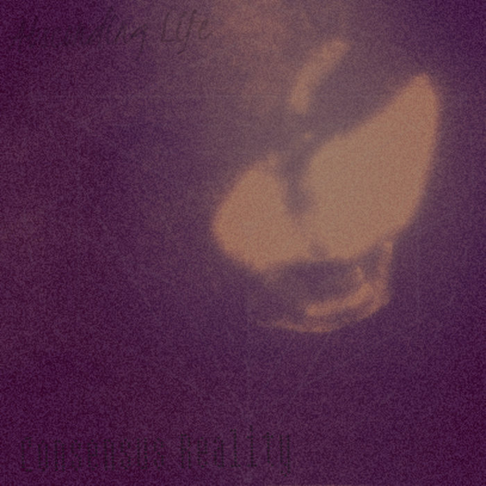 Consensus Reality | Absconding Life