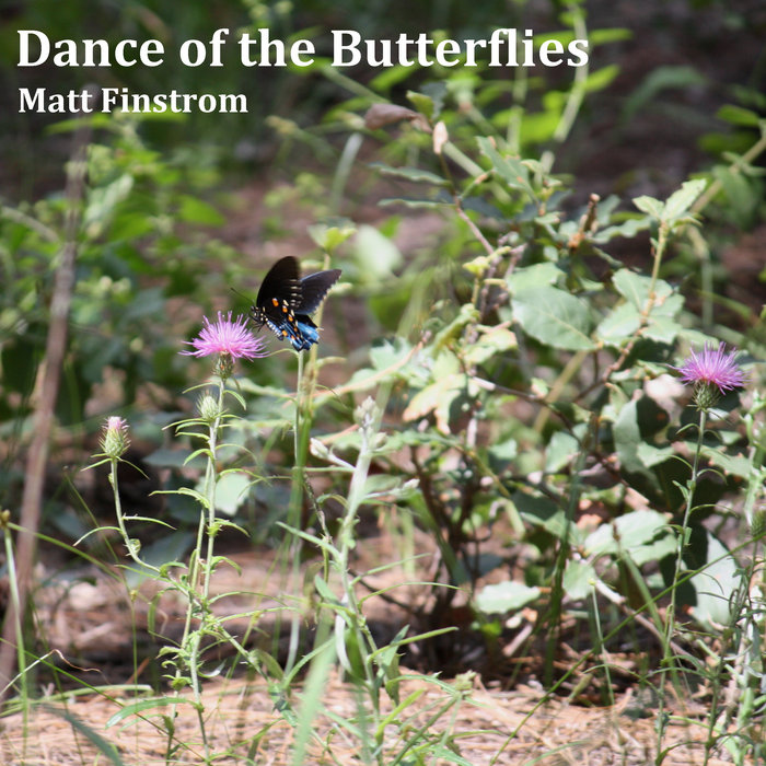 Dance of the Butterflies | Matt Finstrom