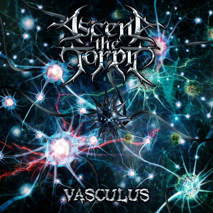 Ascend the Torpid // Vasculus | Ascend the Torpid