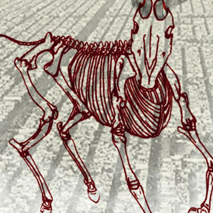 Hidebound | Son Of Lars