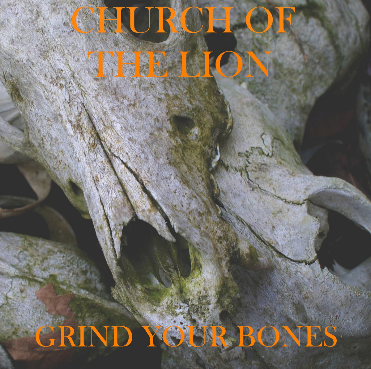 Grind Your Bones | Church of the Lion | apple tree lament