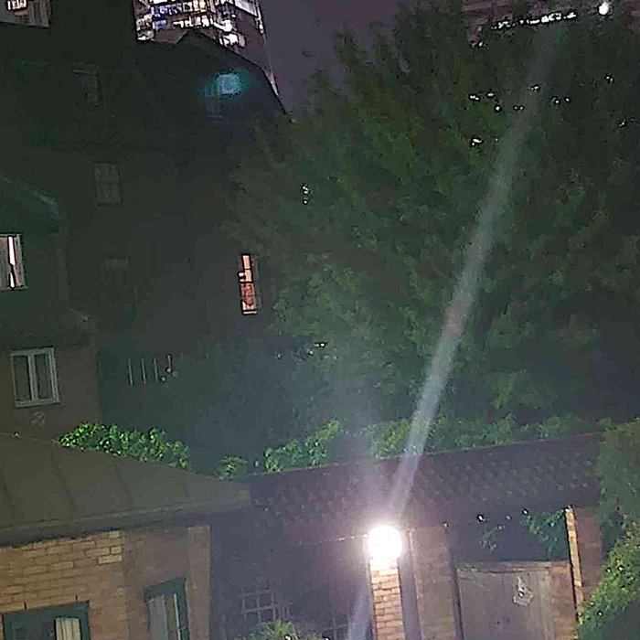 end up dead | Silver Dove