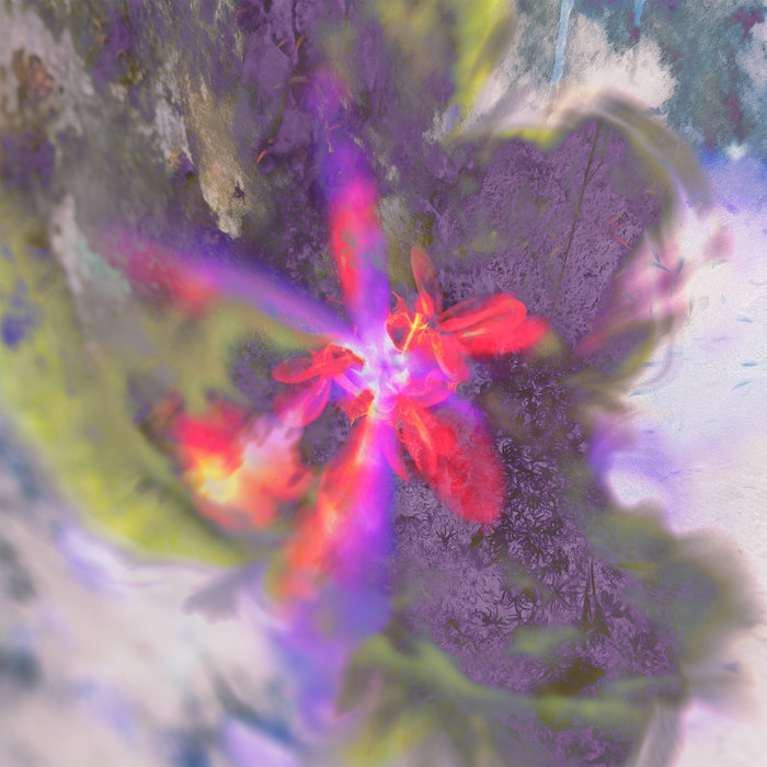 Surroundings | Seta Loto | Comic Sans Records