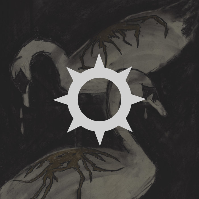 Spring Sunset | Volyn Field