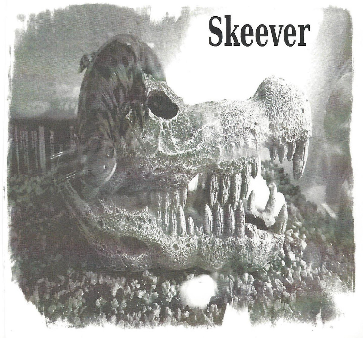 Skeever | SKEEVER