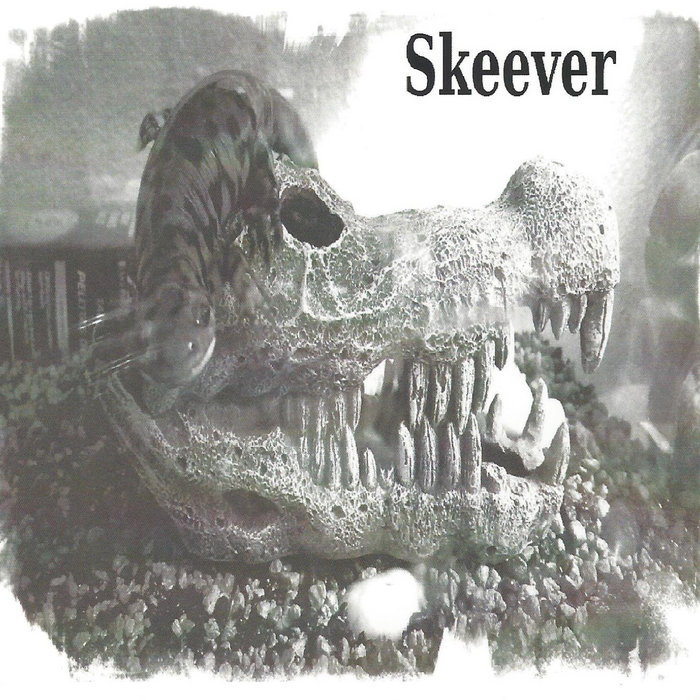 Skeever | SKEEVER