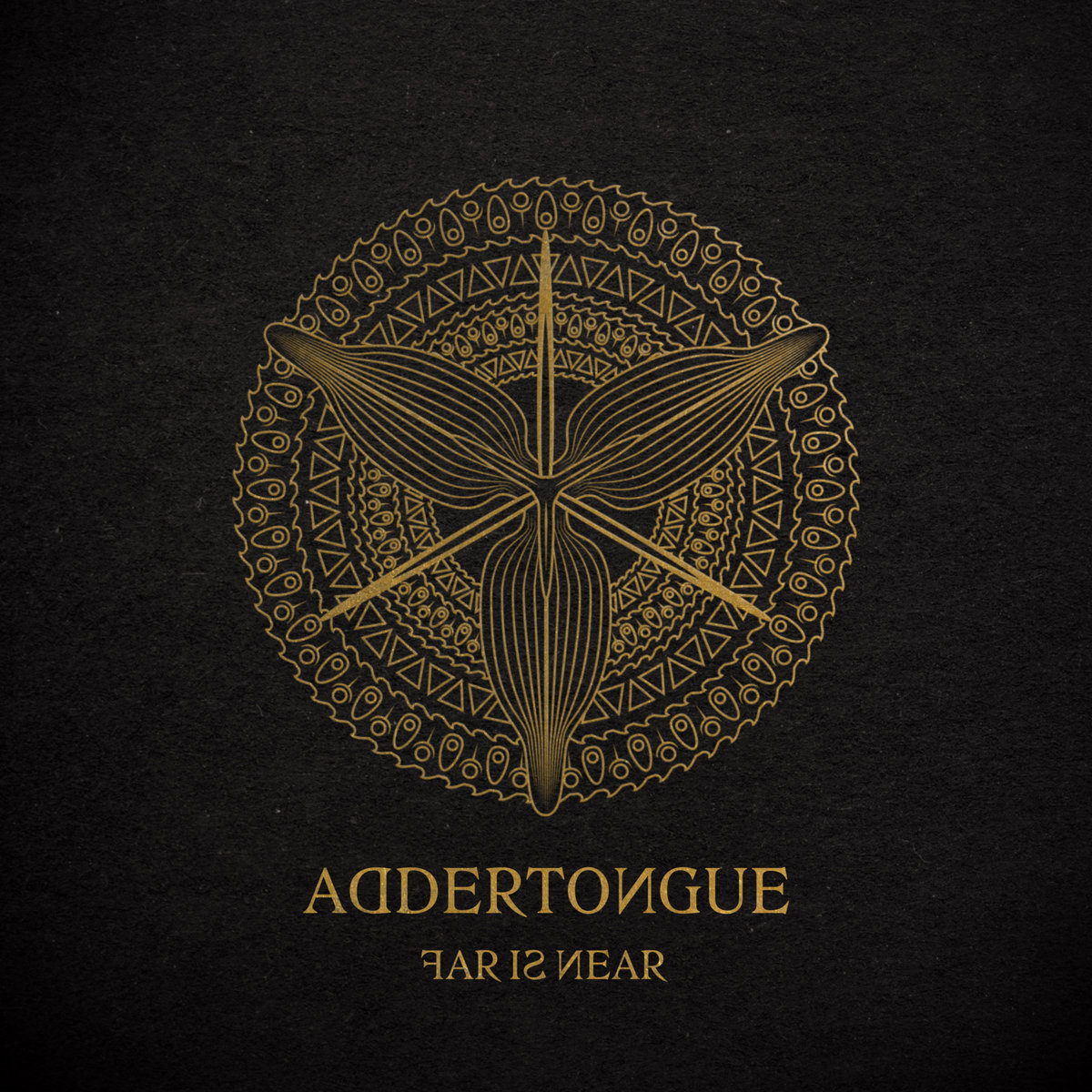 Far Is Near | Addertongue