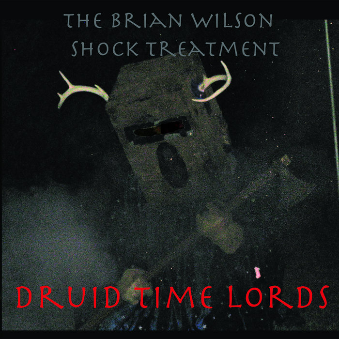 Druid Time Lords | The Brian Wilson SHock TReatment