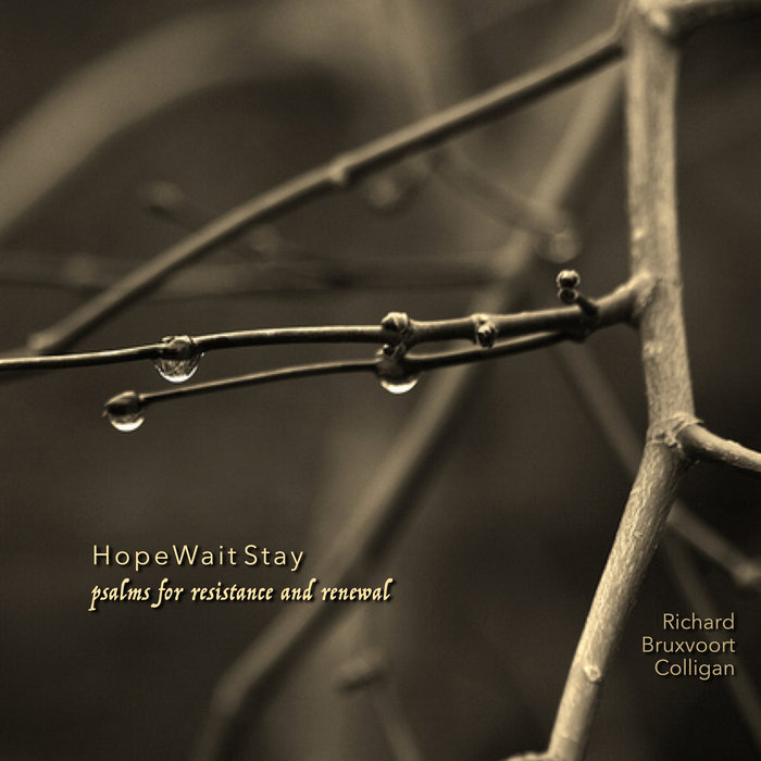 Hope Wait Stay: Psalms for Resistance and Renewal | Richard Bruxvoort ...