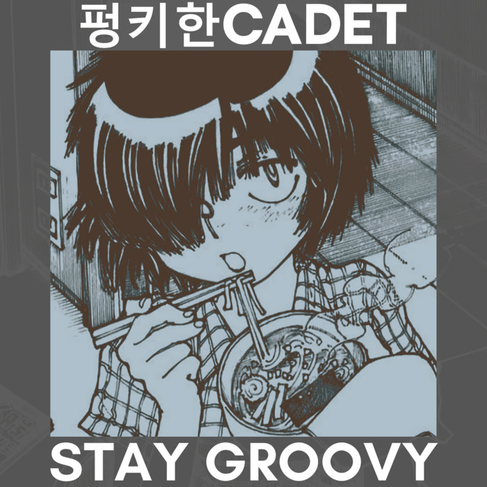 Stay Groovy | 펑키한 Cadet | Tiger Blood Tapes