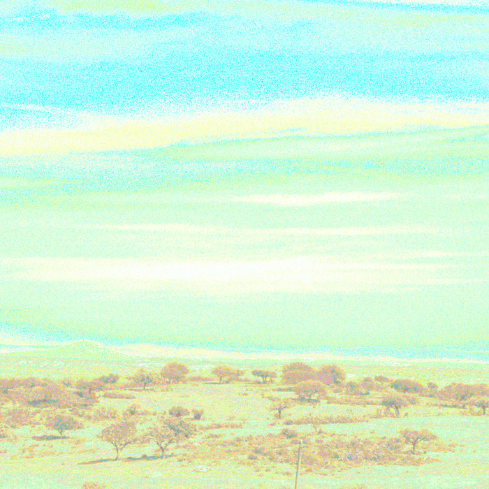 Tabaibos | André de la Fonseca