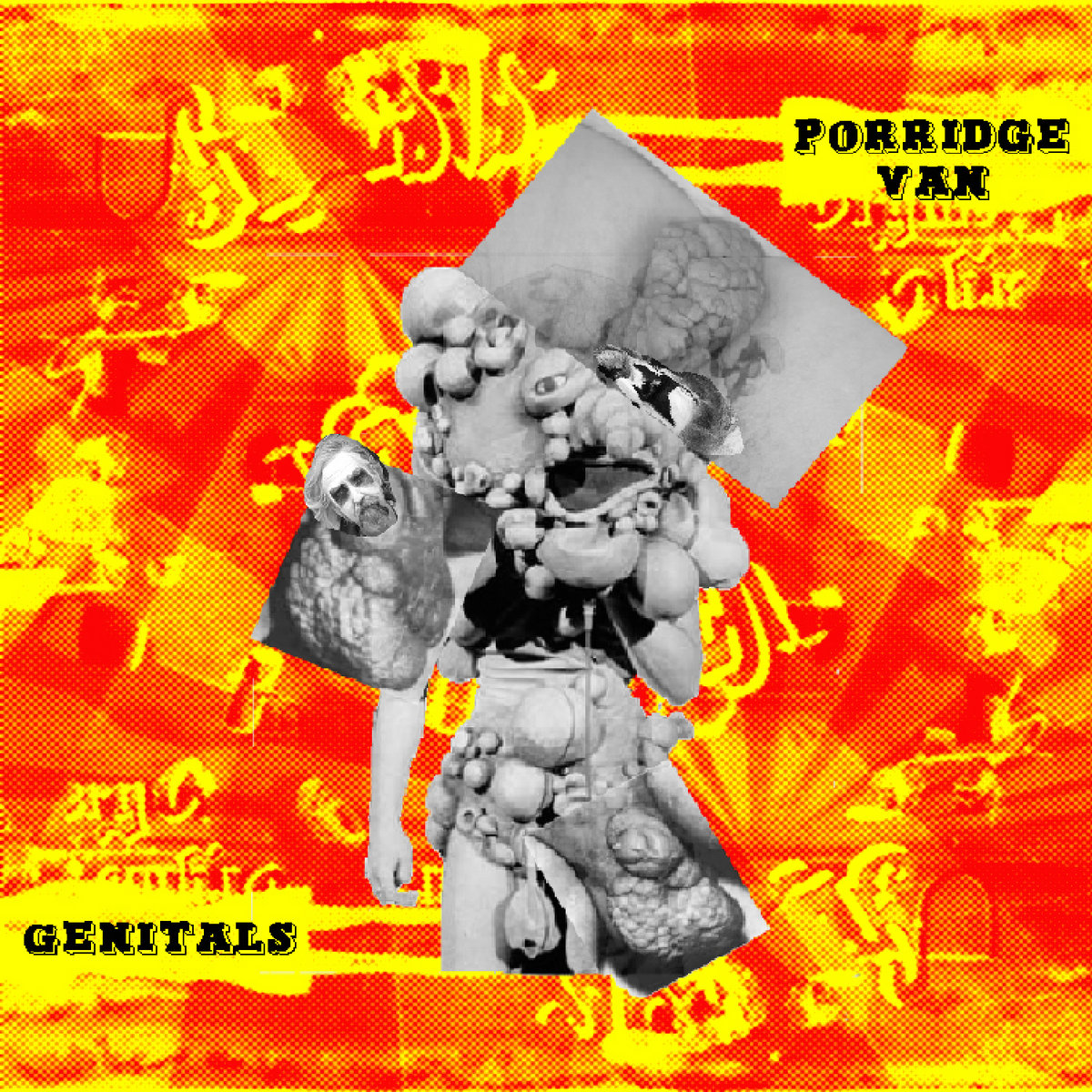 Genitals | Sexton Ming's Porridge Van | SEXTON MING'S PORRIDGE VAN