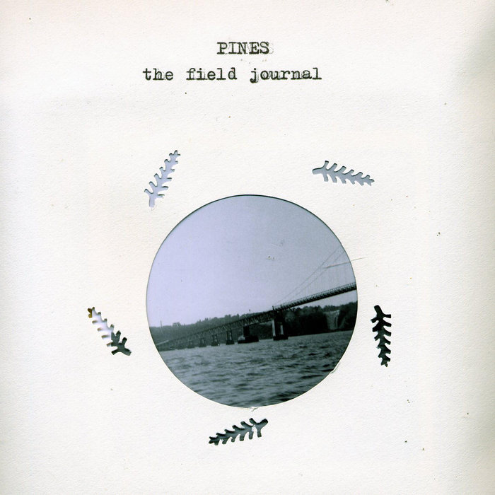 The Field Journal | Pines | Time Released Sound & Time Sensitive Materials