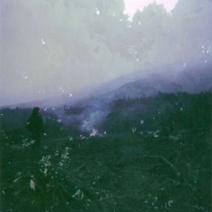 The Holy Forest | Two Bicycles