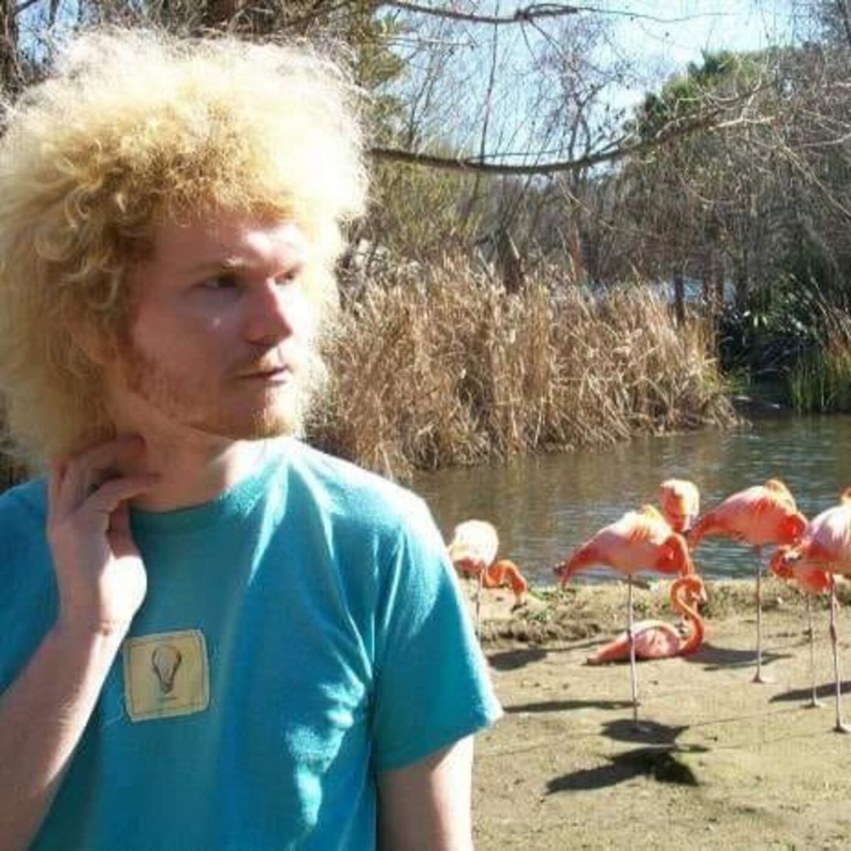 Sun Wave | Nick Stanifer