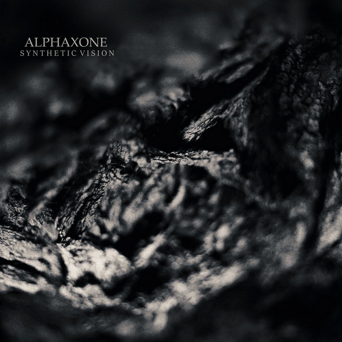 Synthetic Vision - (Remastered) | Alphaxone