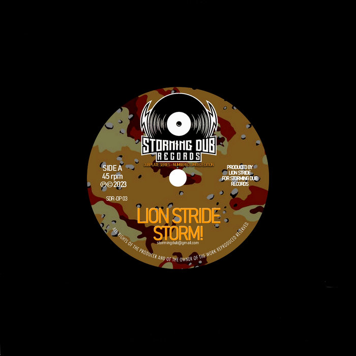 Storm! | Lion Stride | dubwise.it