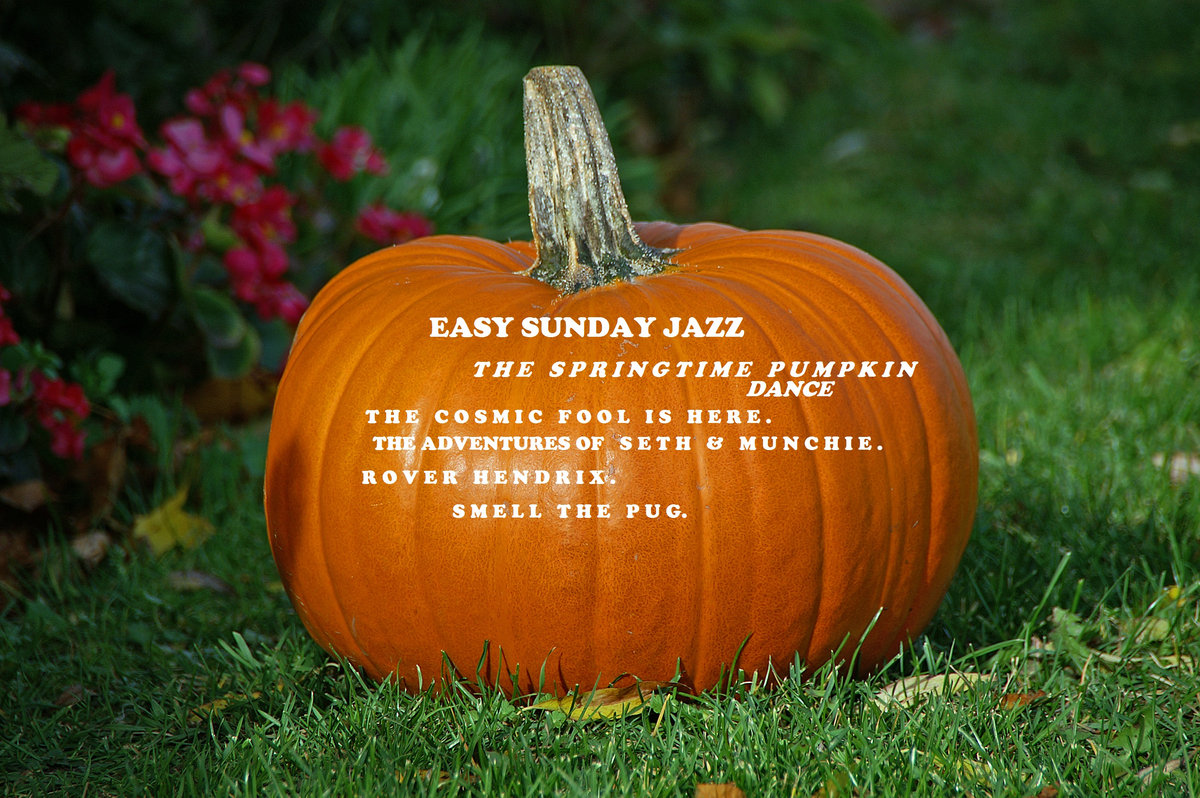 The Springtime Pumpkin Dance | easy SUNDAY jazz | Captain Feeney OFFICIAL
