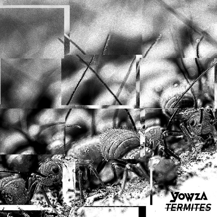Termites | YoWzA | SlingerRecords