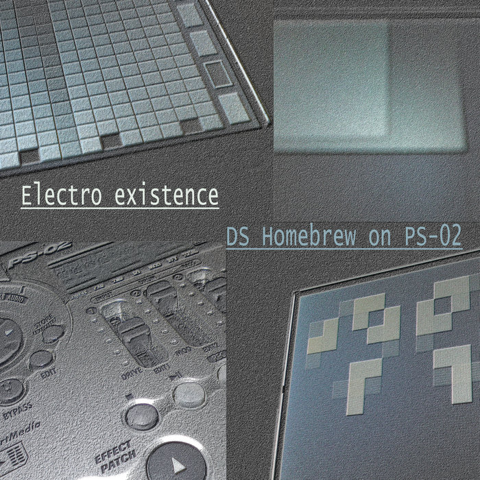 DS Homebrew on PS-02 | freeform delusion