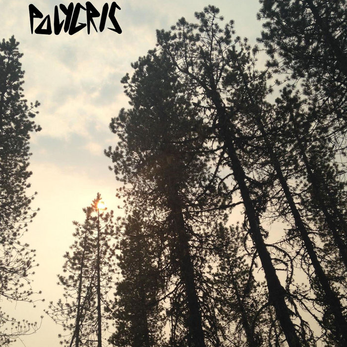 The Demos II | Polygris