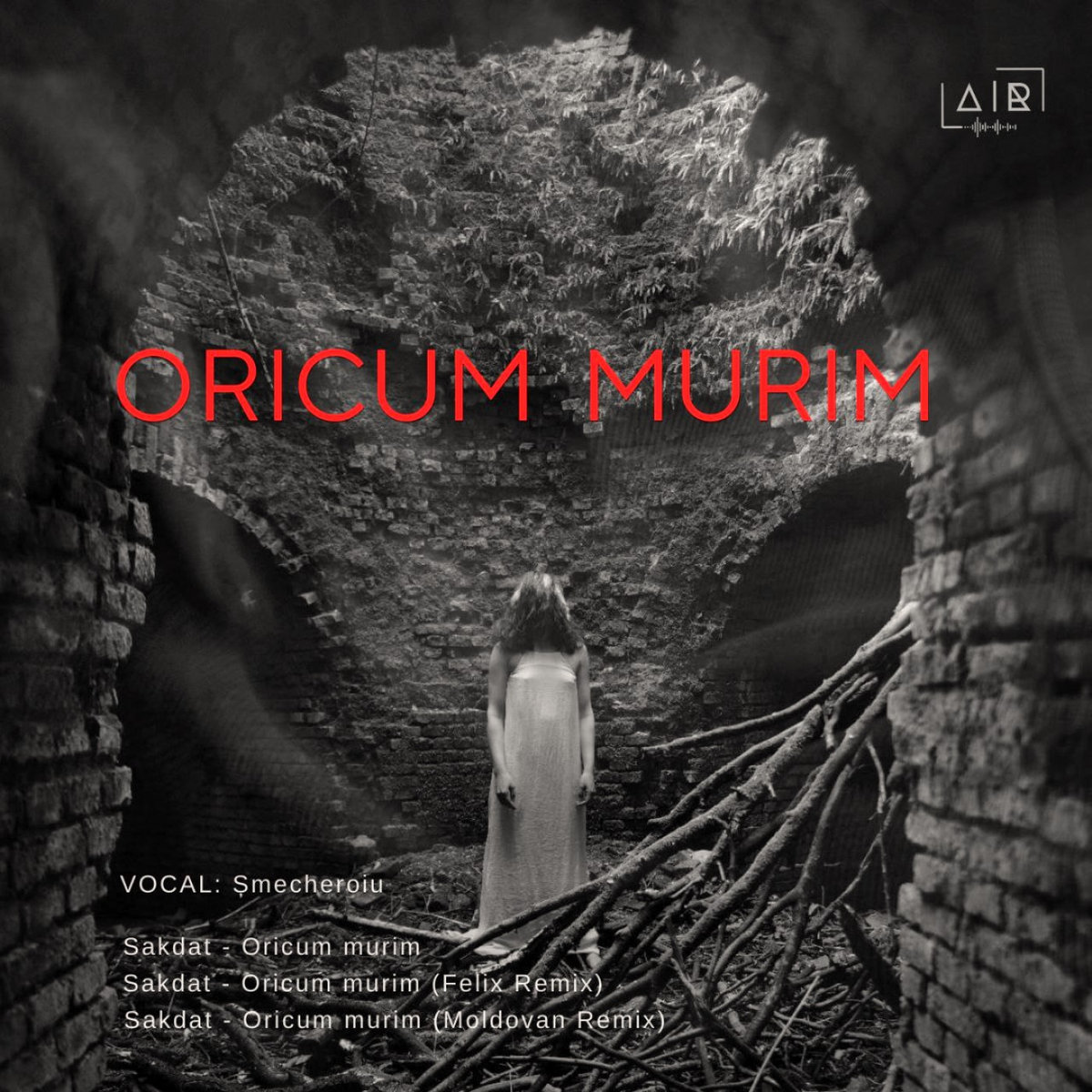 Oricum Murim ( ft Șmecheroiu vocal) | sakdat