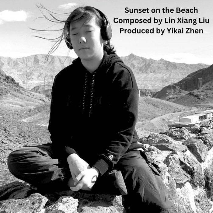 Sunset on the Beach | Lin Xiang Liu | Lin