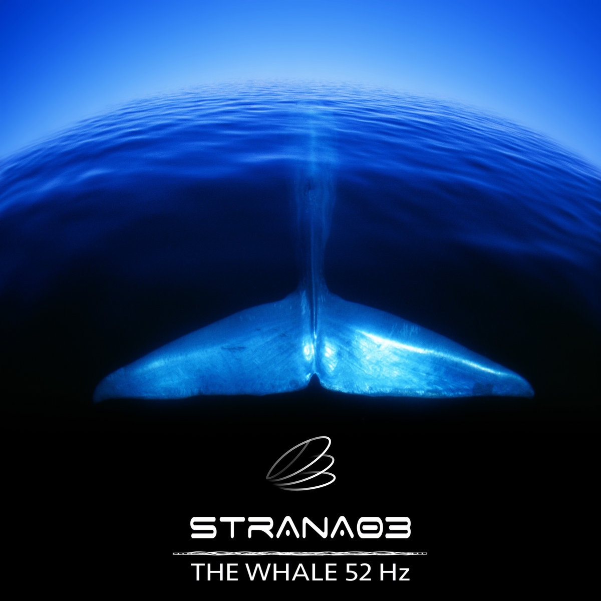 The Whale 52 Hz (24bit) | Strana 03 | Plexus Music