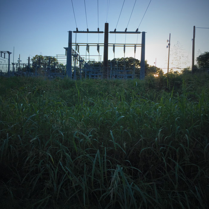 Ellerbe | Brandon Adams