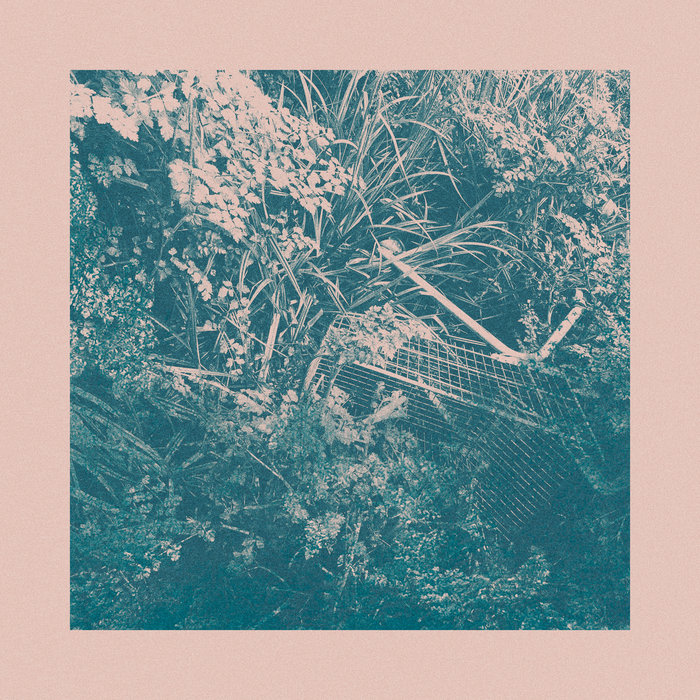 Walk In The Forest Acid | Pye Corner Audio