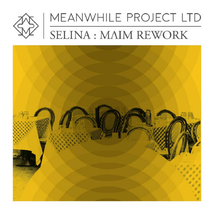 Meanwhile Project Ltd - Selina : MɅIM Rework | Meanwhile Project Ltd ...