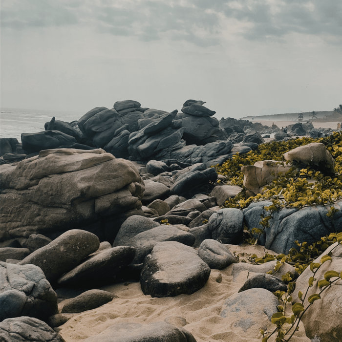 Primavera | David de la Rosa