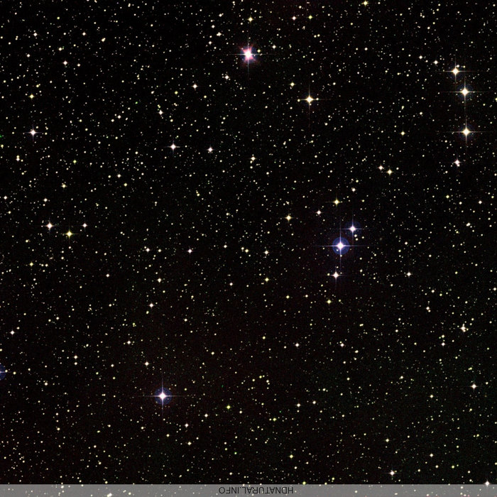 i like you | Colin Rugg | Kolbfleisch