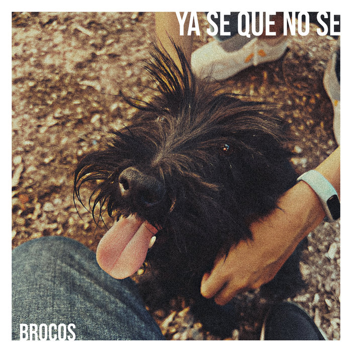 Ya sé que no sé | Brocos