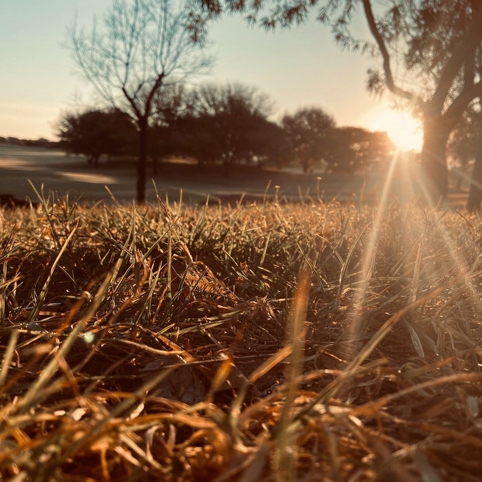 Sunlight | Eleanor Gilbert | Aether Gaze