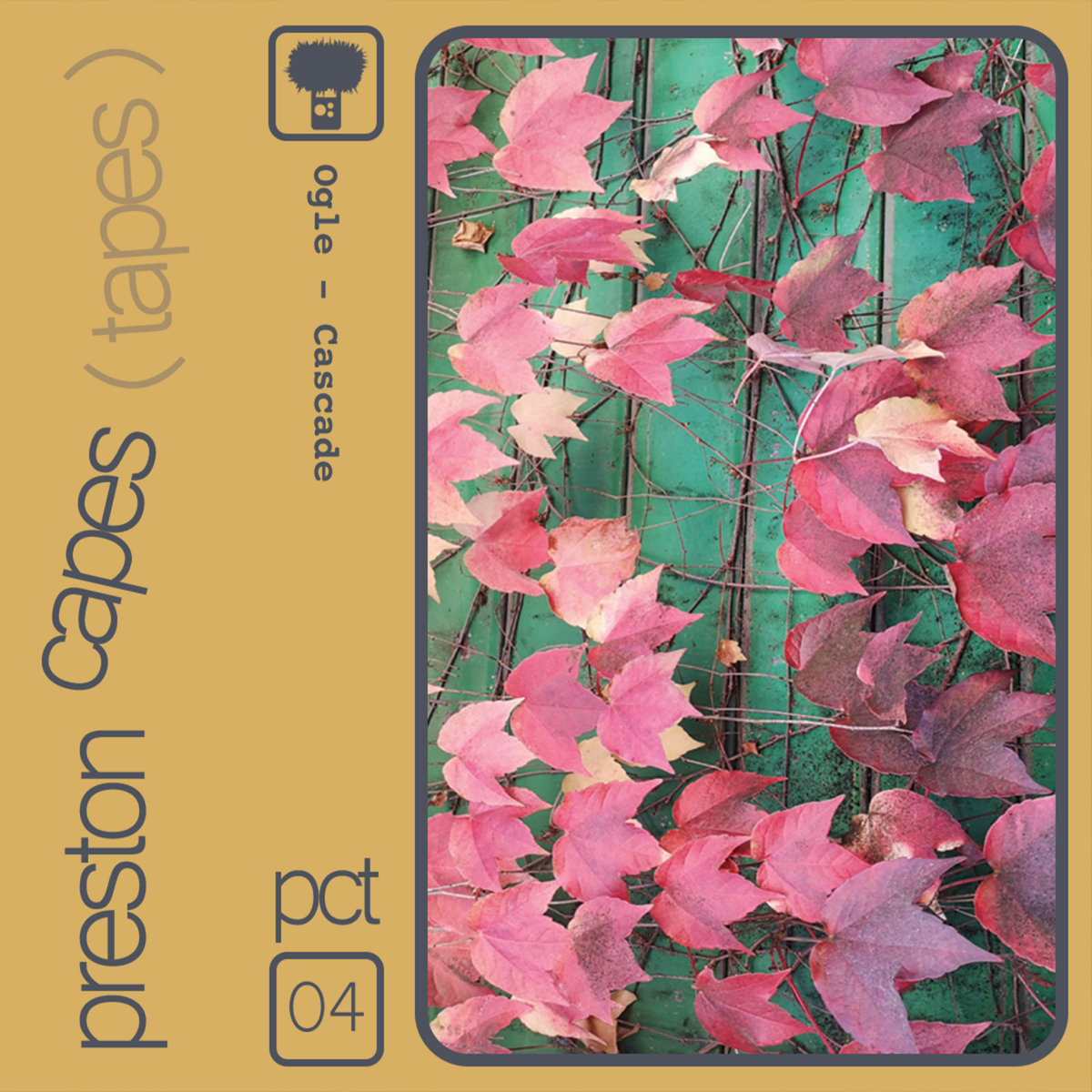 PCT 04 - Cascade | Ogle | Preston Capes