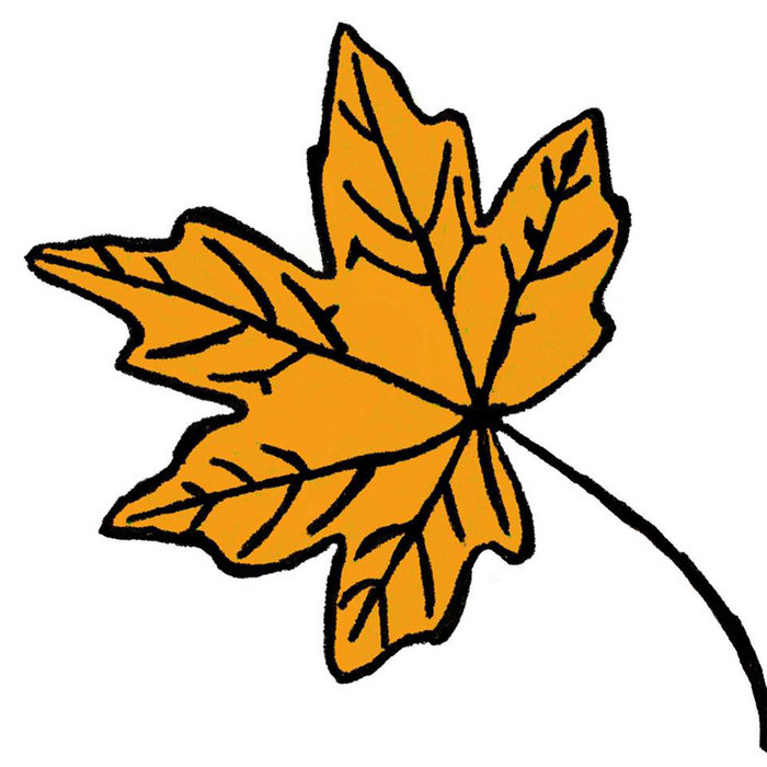 Old & Grey | Maple Crunch